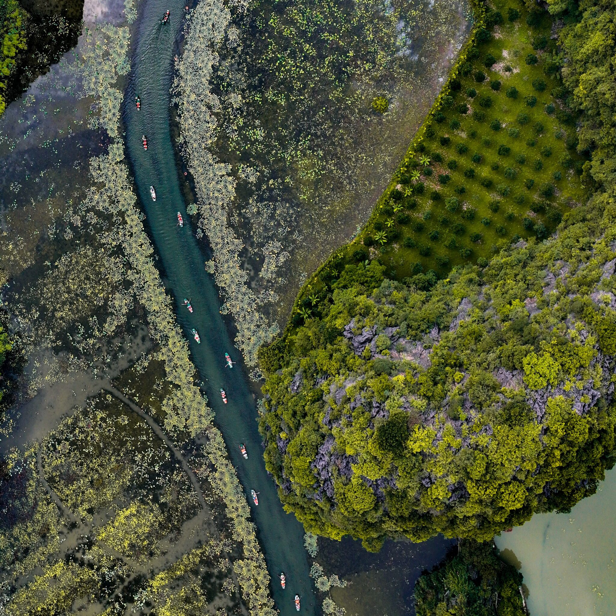 Welcome to GCOP: Start Photography Journey in Surat Gujarat | GCOP